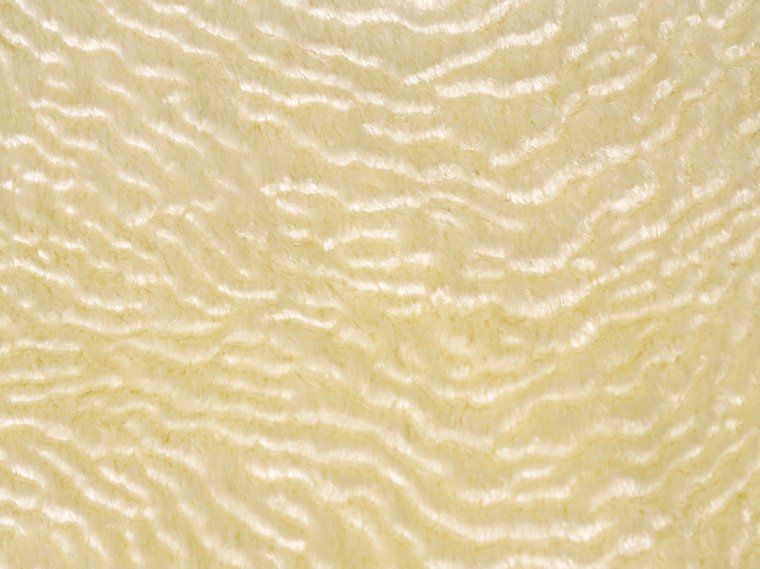 Last roll Creamy Ivory Textured Velvet Fabric- Modern / contemporary ...