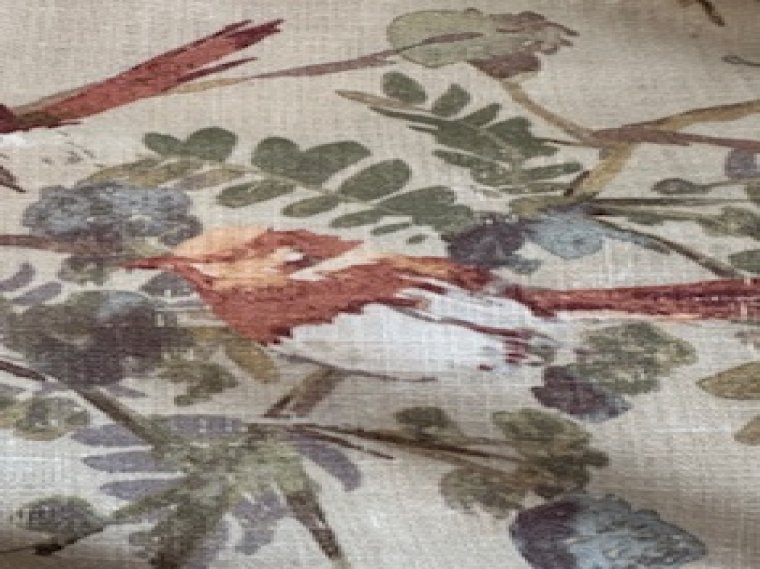 Gorgeous Fabric featuring birds, ideal for upholstery, drapes, bedding